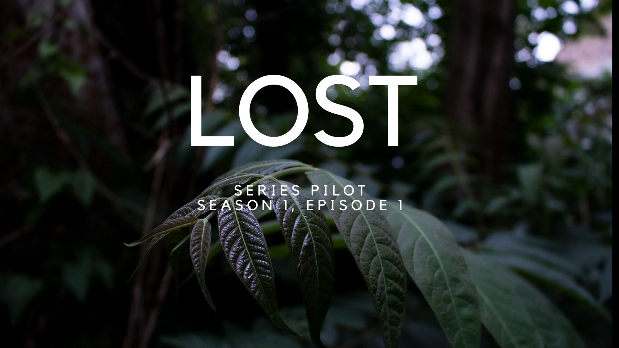 5 Simple Tips For Your Lord Of The Flies Introduction Lesson - Visual ...